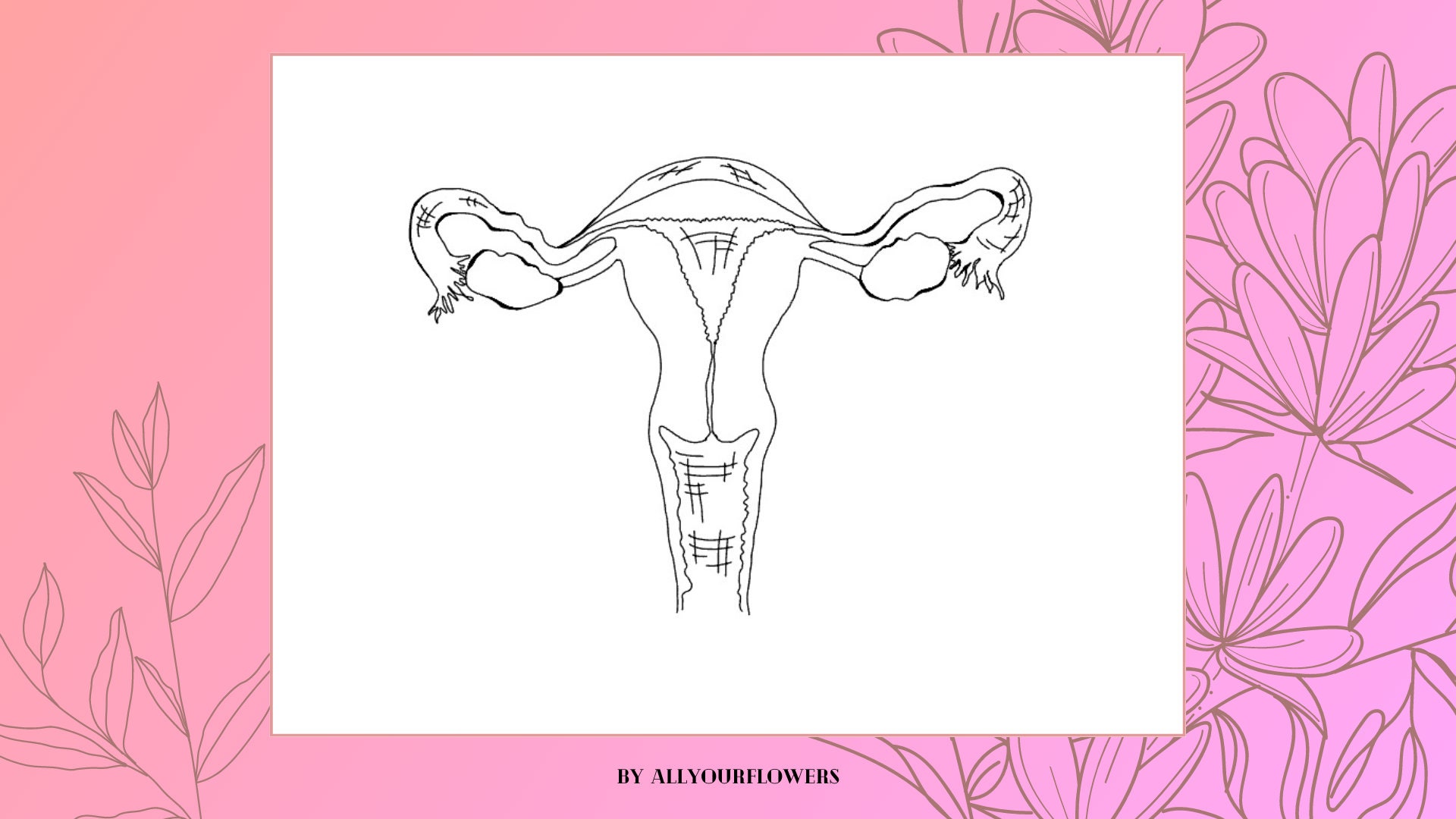Uterus Drawings With Anatomical Notes Digital Prints in Various Formats ...