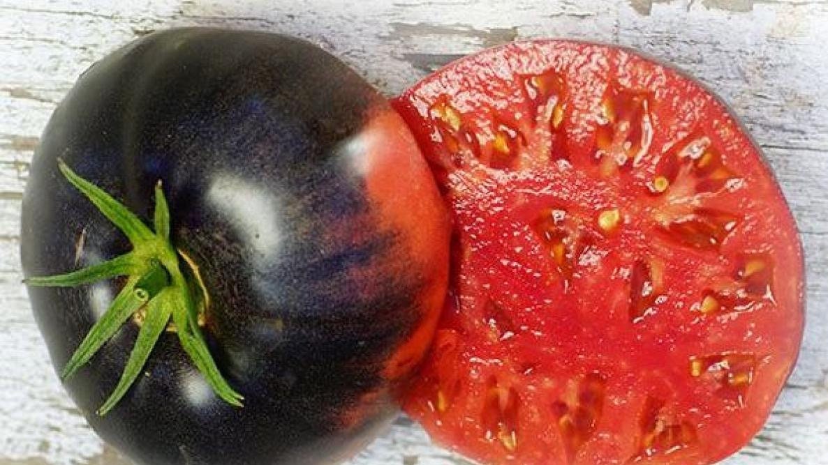 20 Seeds, OSU BLUE Heirloom Tomato Seeds - Etsy