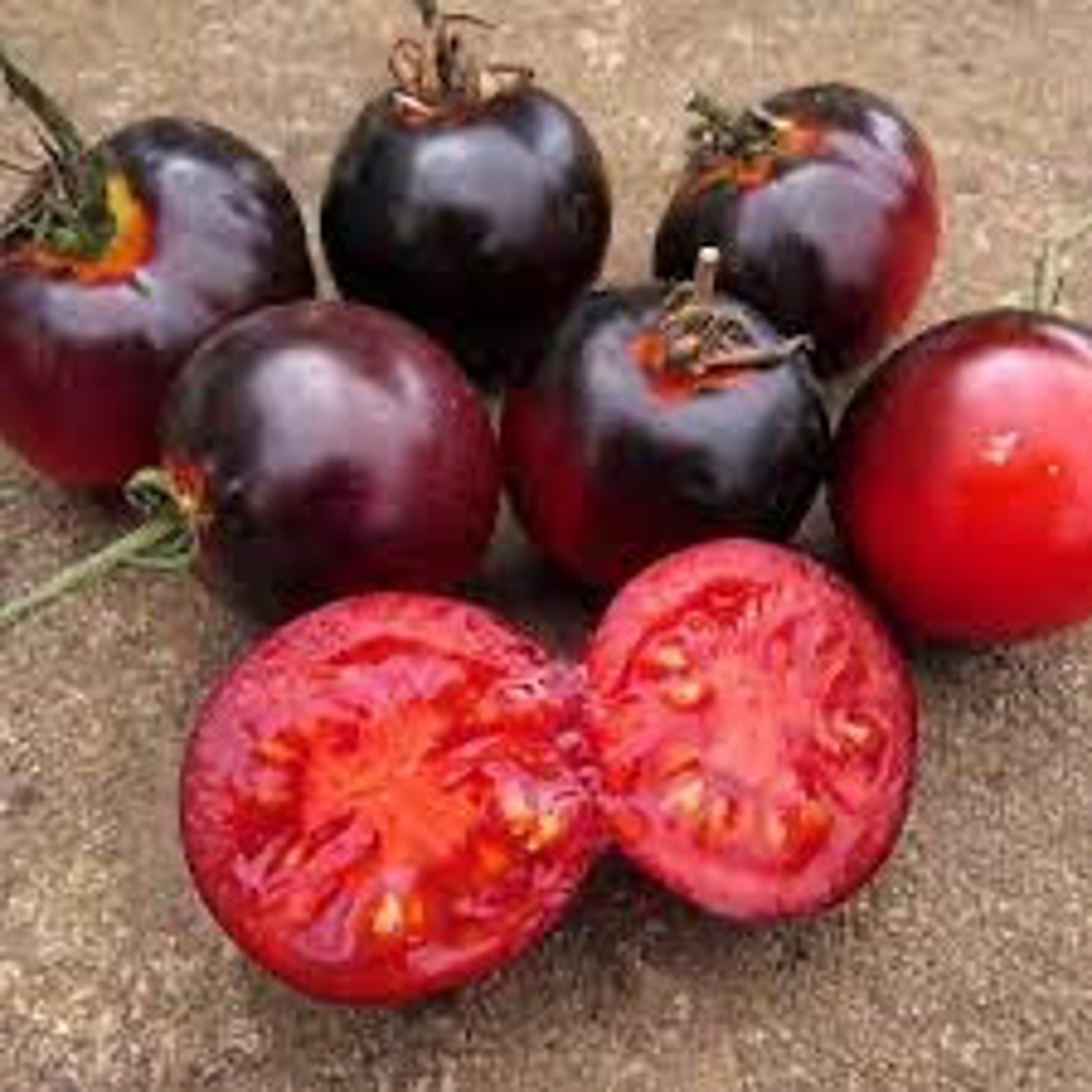 20 Seeds, OSU BLUE Heirloom Tomato Seeds - Etsy