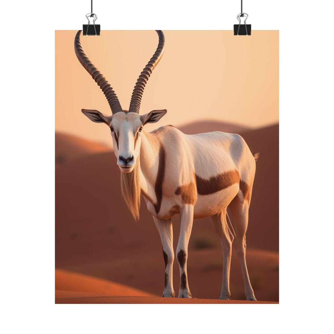 Matte Vertical Posters, Arabian Oryx Poster Print, Wildlife Wall Art ...