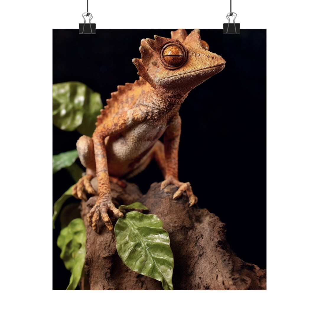 Gecko Vertical Posters, Matte Reptile Art Print, Nature Wall Decor ...