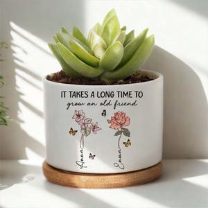 Personalized Friendship Ceramic Plant Pot, Custom Best Friend Birth ...
