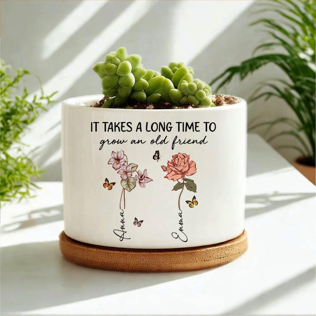 Personalized Friendship Ceramic Plant Pot, Custom Best Friend Birth ...