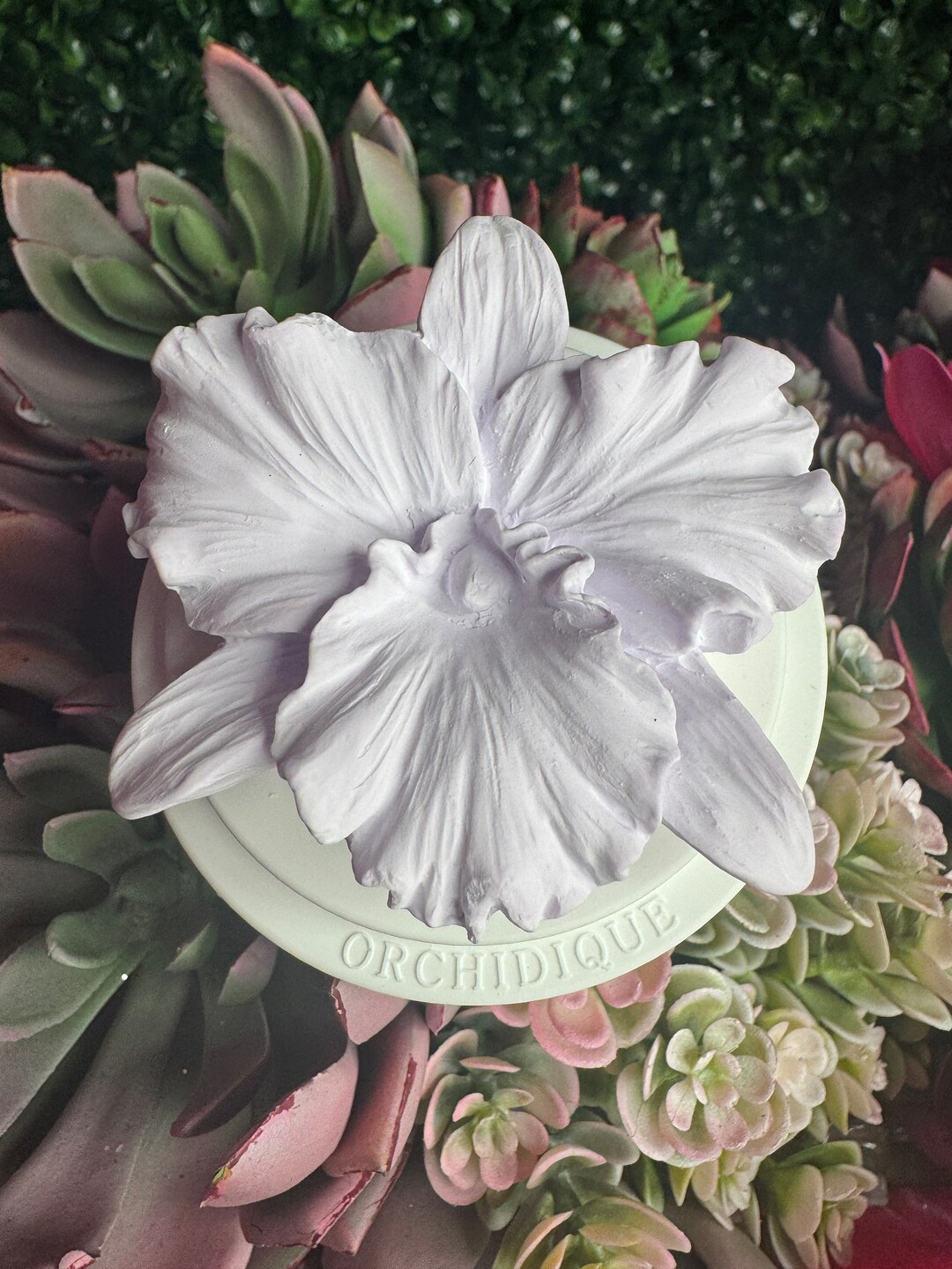 Orchid Diffuser Lavendar Cattleya Design Ceramic Stone Home Fragrance ...