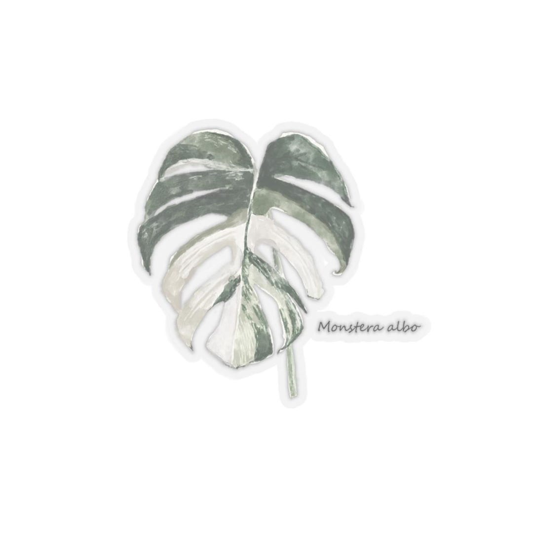 Monstera Albo Sticker, Tropical Plant Kiss-cut Stickers for Laptop ...