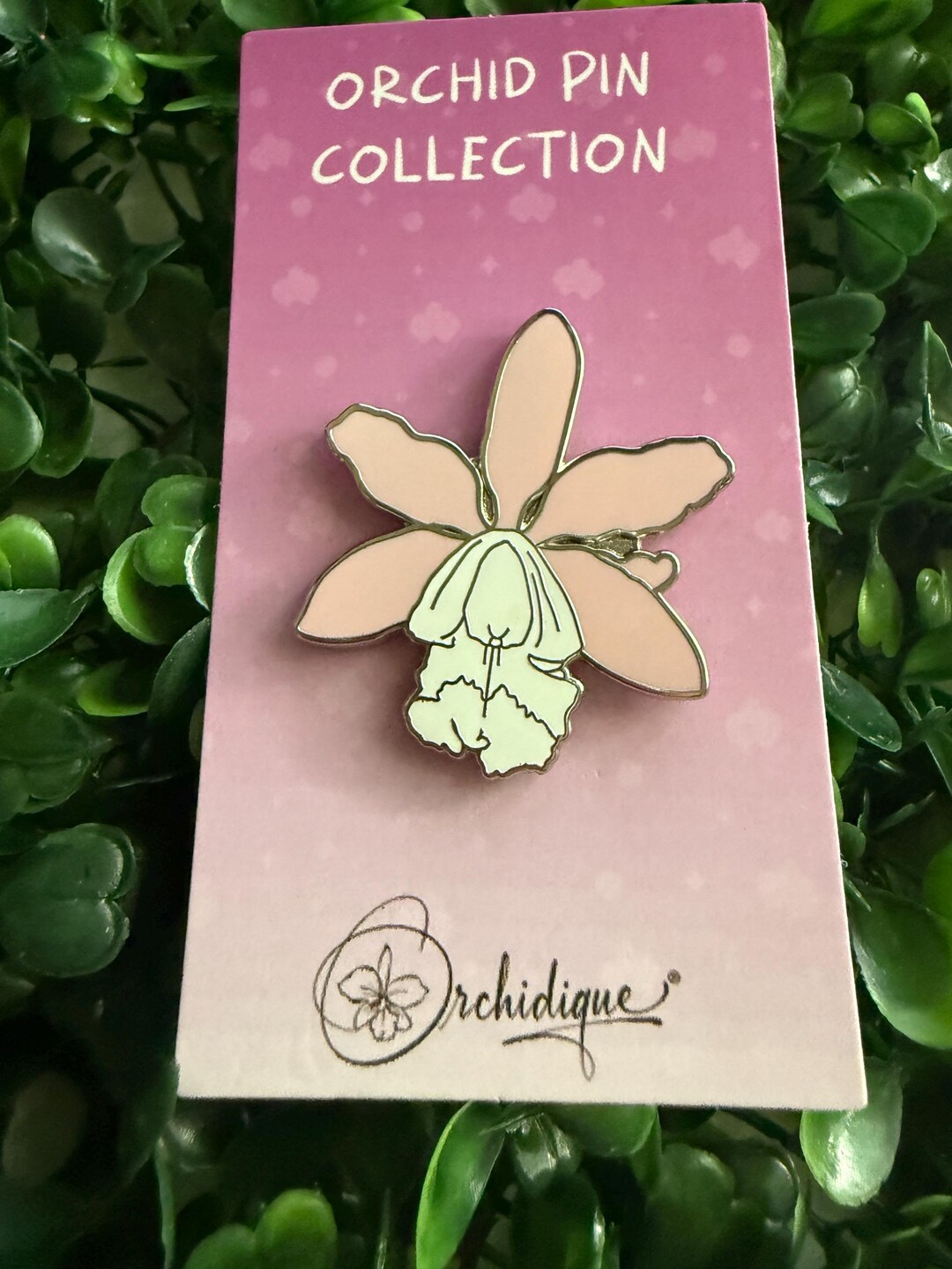 Plant Enamel Pin- Cattleya Loddigesii- Inspired Orchid Flower Enamel ...