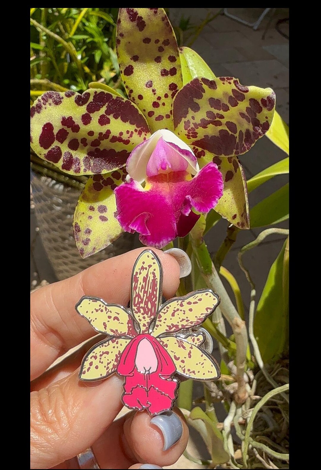 Orchid Lapel Pin-orchid Enamel Pin: Cattleya Loddigesii-inspired Floral ...