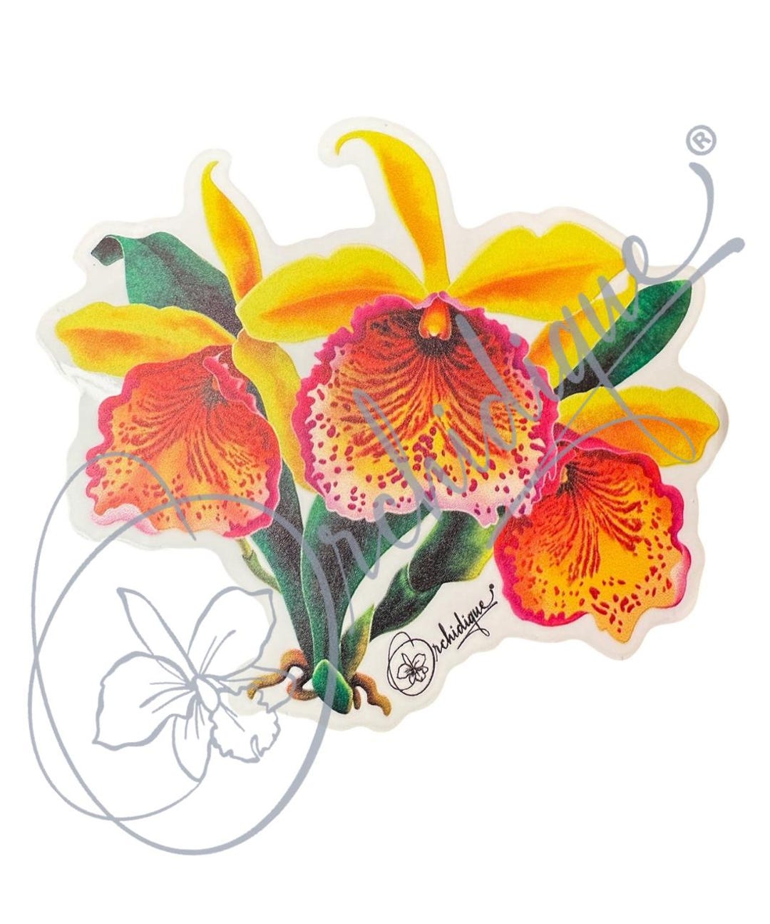 Orchid Yellow Spotted Cattleya Sticker • Orchid Lover Gift - Etsy