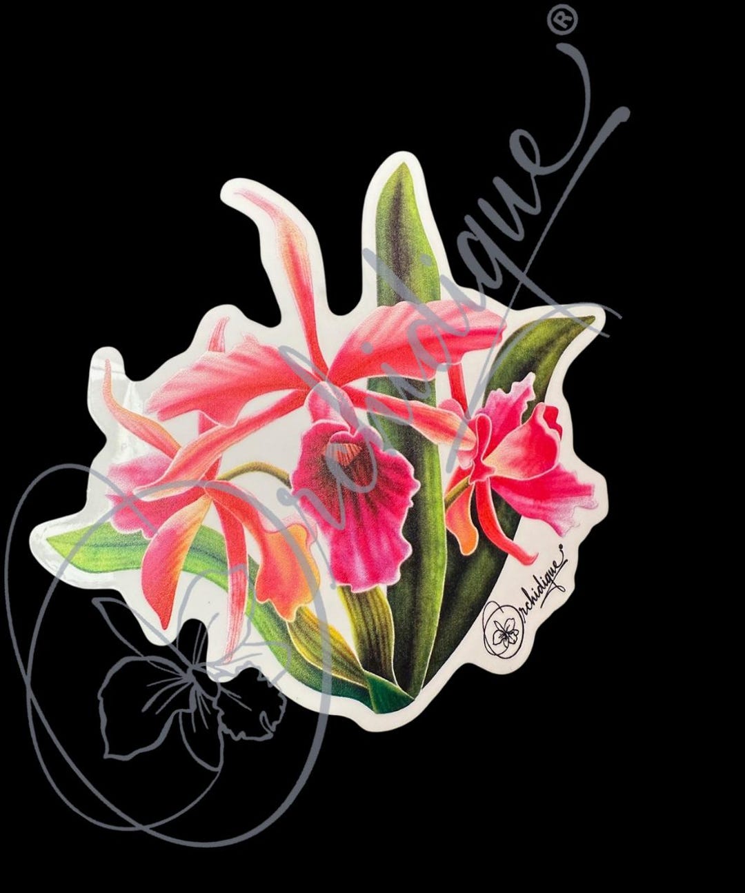 Orchid Tenebrosa Cattleya Sticker • Orchid Lover Gift - Etsy