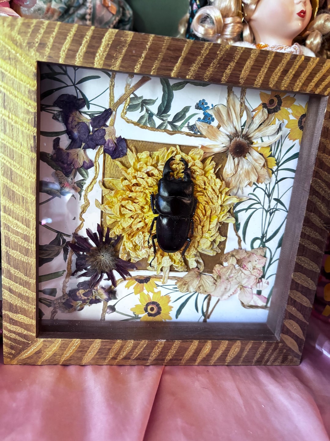 Insect Shadow Box - Etsy