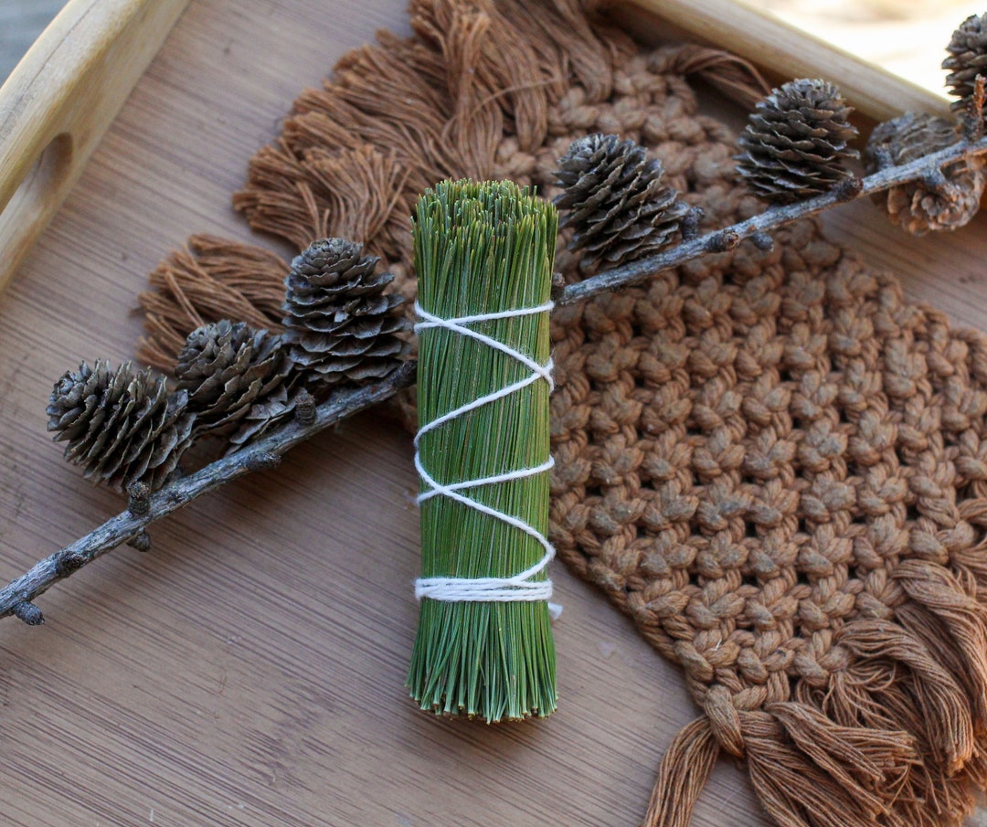Eastern Pine Needle Smoke Cleansing Stick - Sage Smudging Alternative ...