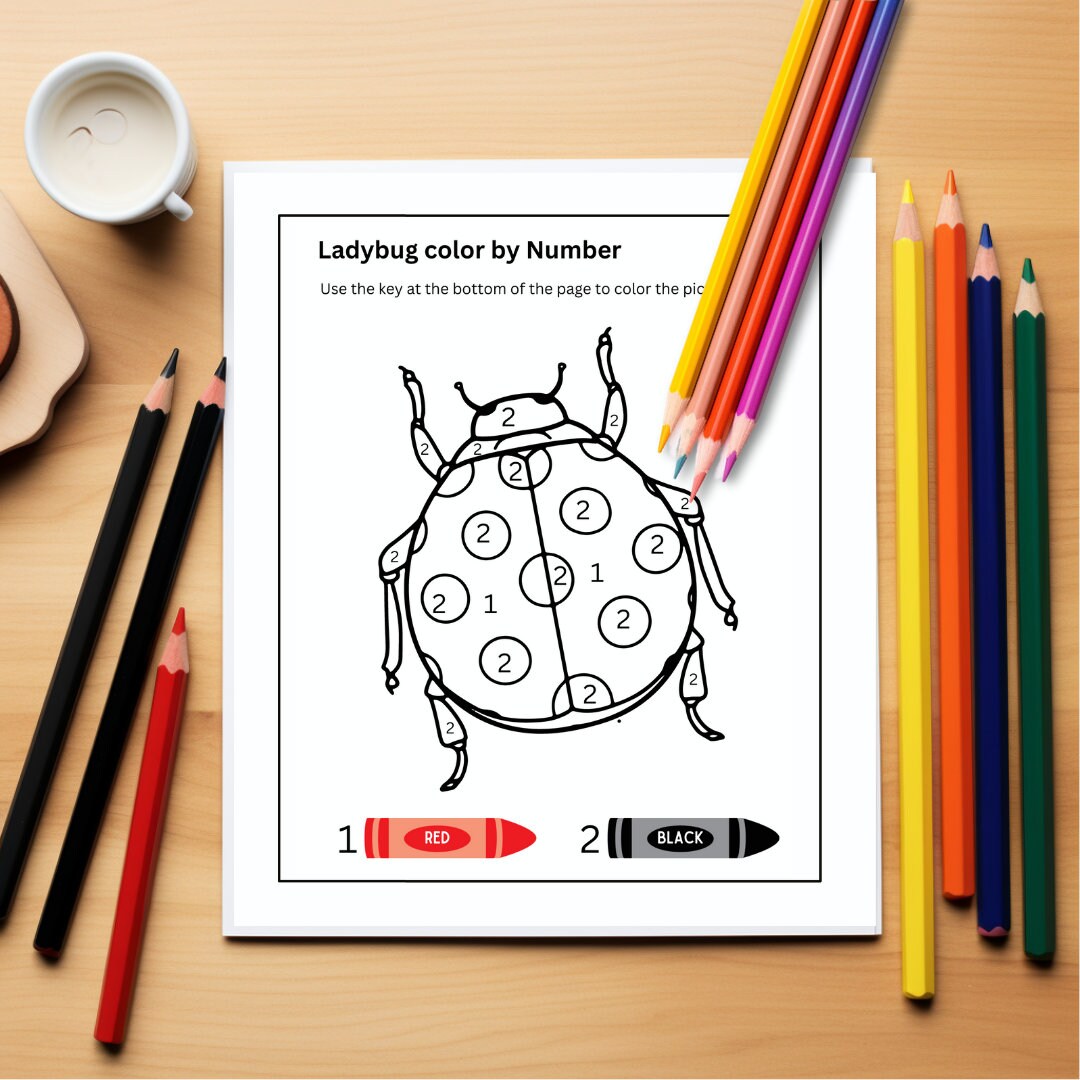 Little Artist’s First Color by Number – Easy and Simple Coloring Book ...