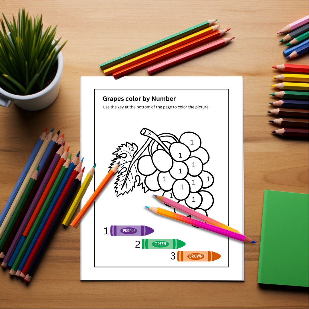 Little Artist’s First Color by Number – Easy and Simple Coloring Book ...