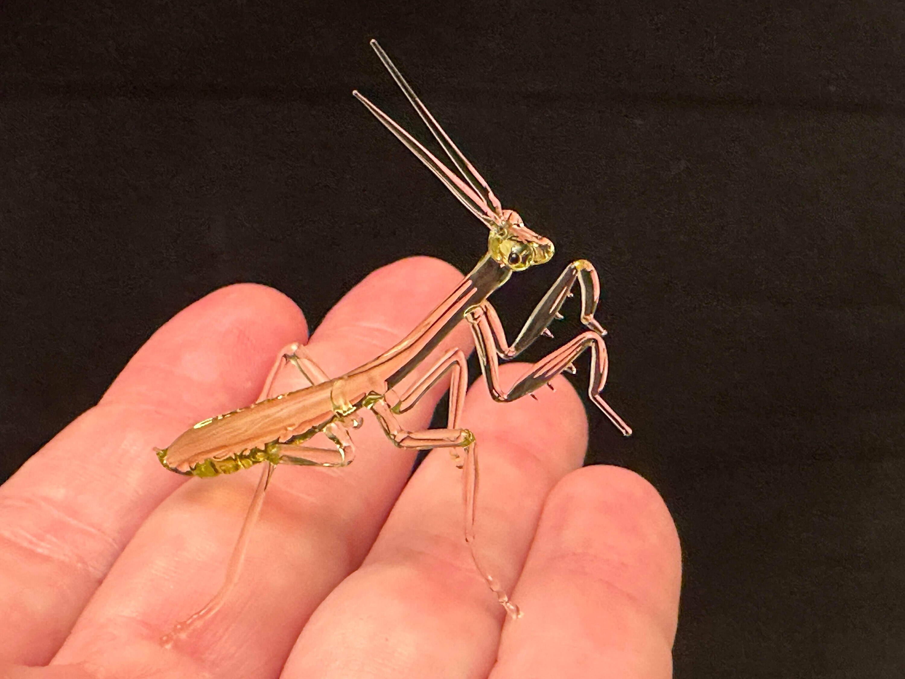 Uranium Vaseline Praying Mantis Custom Piece - Etsy