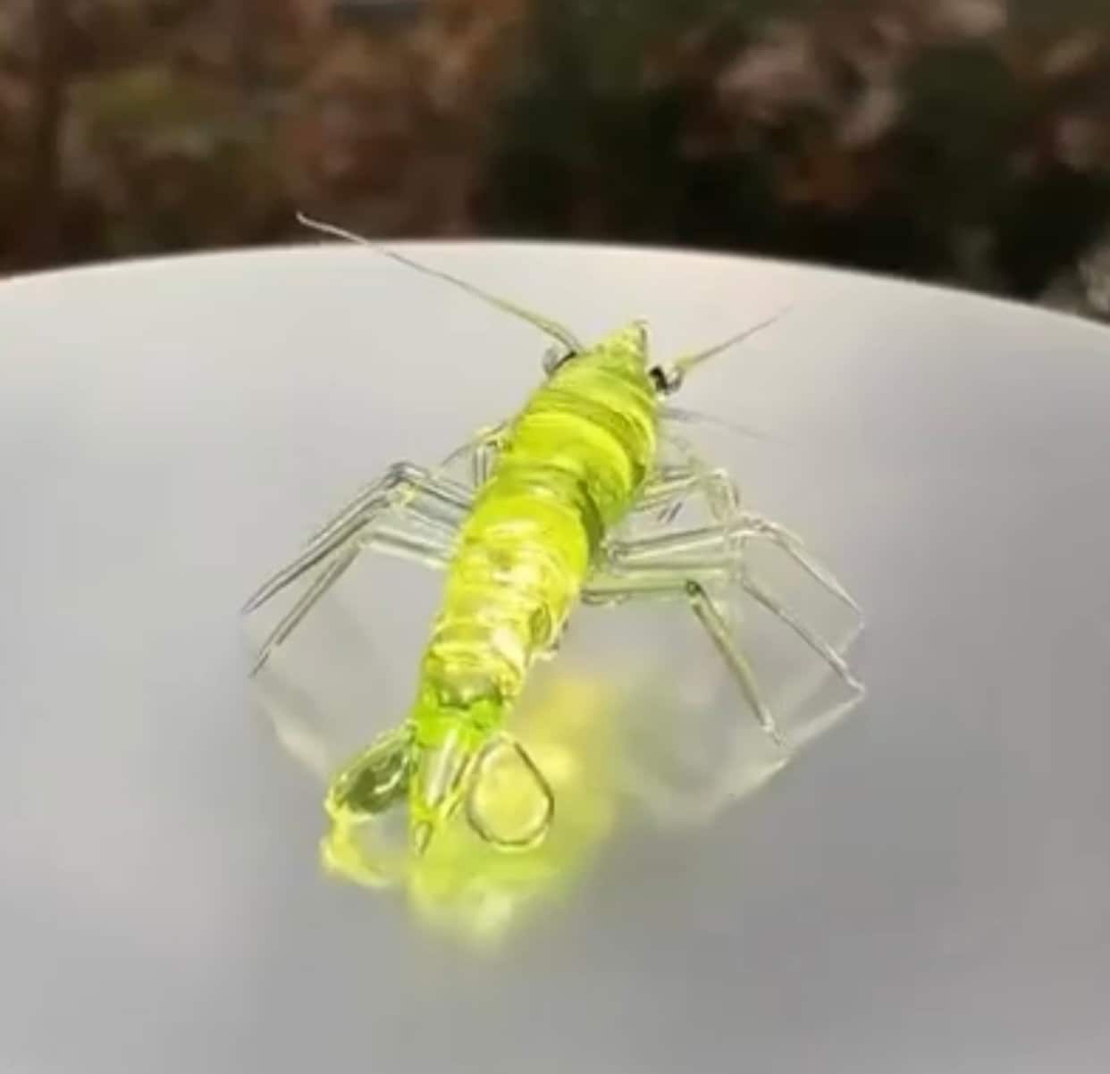 Uranium Vaseline Shrimp Custom Piece - Etsy