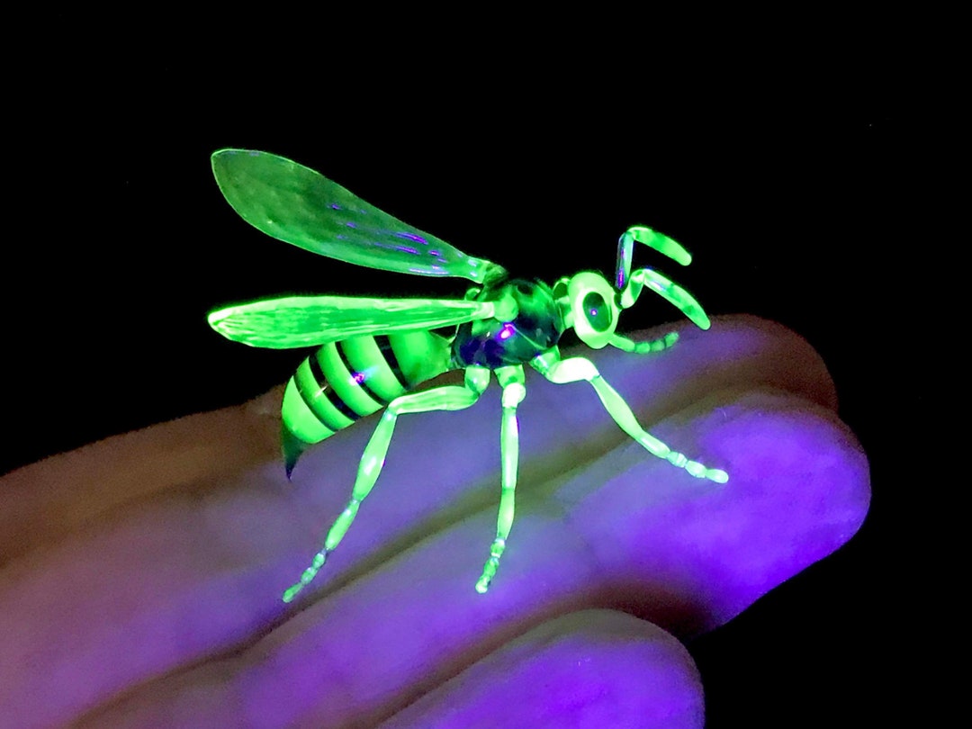 Uranium Vaseline Custom Wasp by Rafael in Stock Now - Etsy