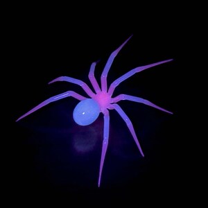 Uv Reactive Non Uranium Pink and Blue Glow Selenium Glow on White Glass ...