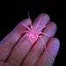 Regular Size Approx 2”x2 Pink/red Glow Non Uranium Heart Spider ...