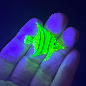 Uranium Vaseline Fish Custom Artwork by Rafael - Etsy