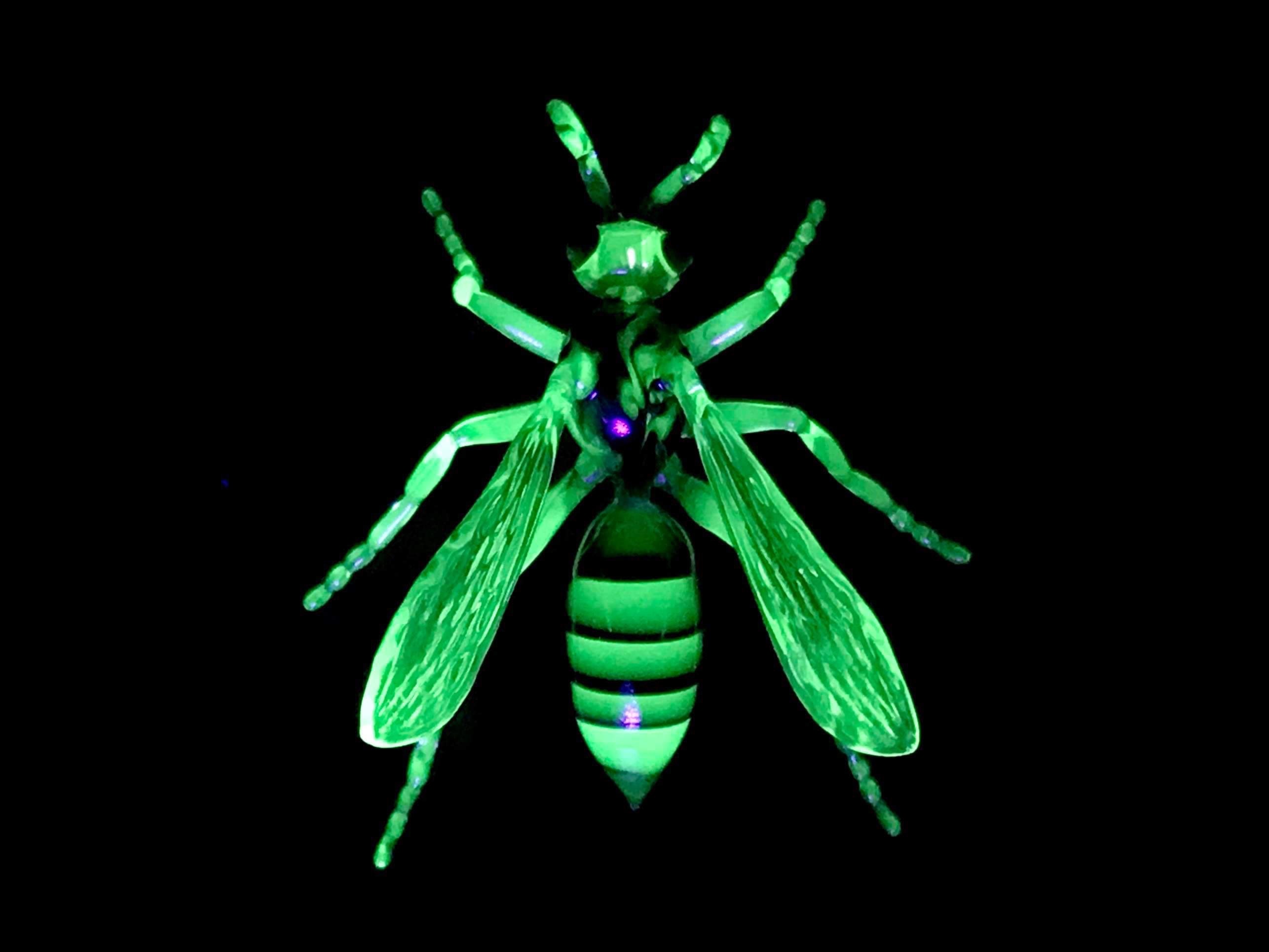 Uranium Vaseline Custom Wasp by Rafael in Stock Now - Etsy