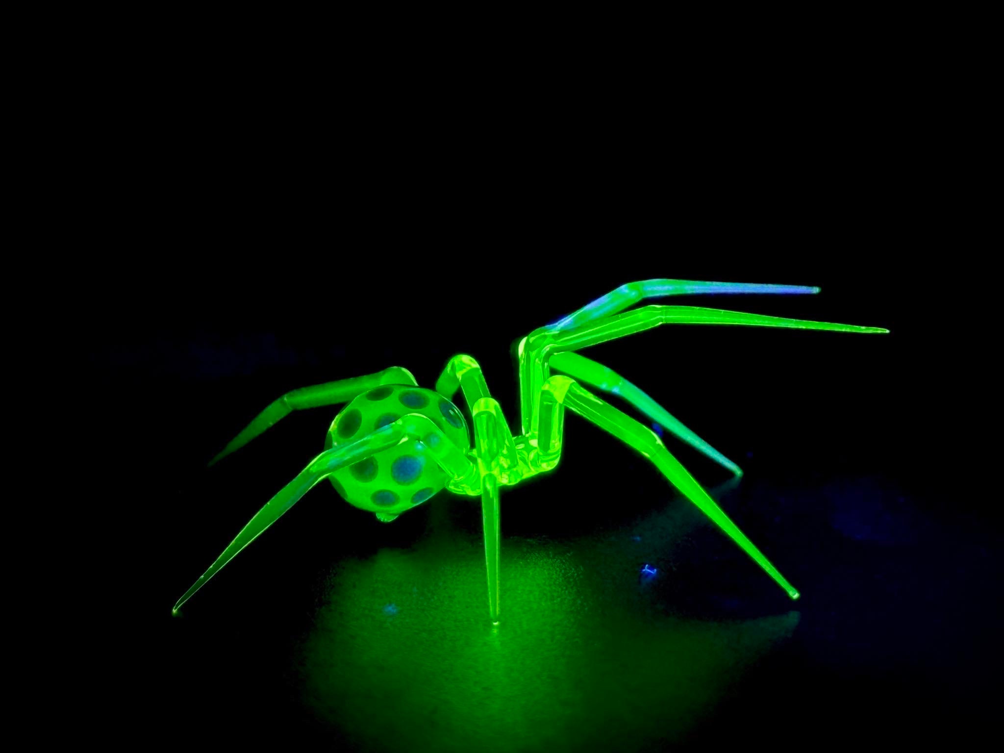 Uranium Vaseline Blue Spotted Spider by Rafael - Etsy