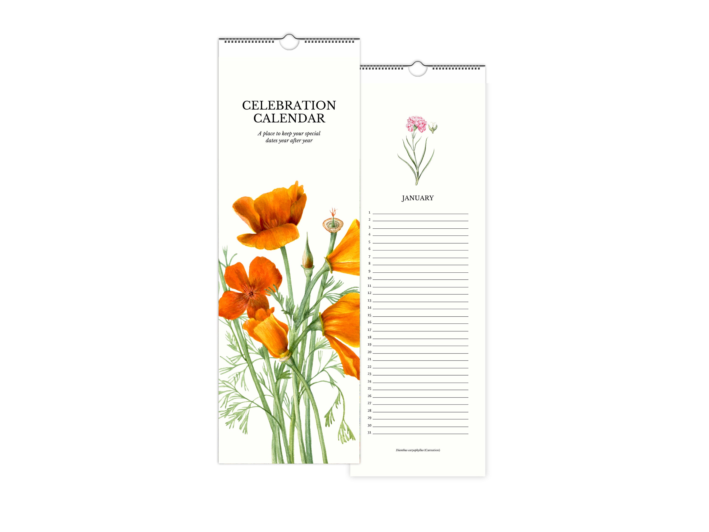 Perpetual Calendar, Birthday Calendar, Celebration Calendar, Wall ...