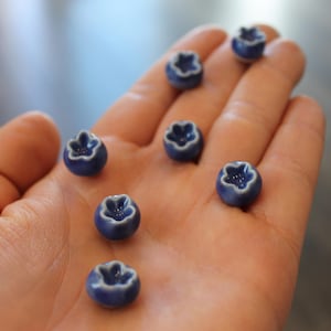 Ceramic Magnet, Ceramic Fruit, Food Magnet, Clay Magnets, Fridge ...