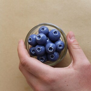 Ceramic Magnet, Ceramic Fruit, Food Magnet, Clay Magnets, Fridge ...