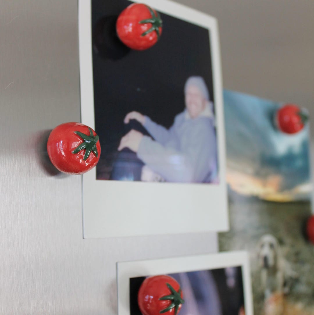 Ceramic Magnet, Ceramic Fruit, Food Magnet, Clay Magnets, Fridge ...