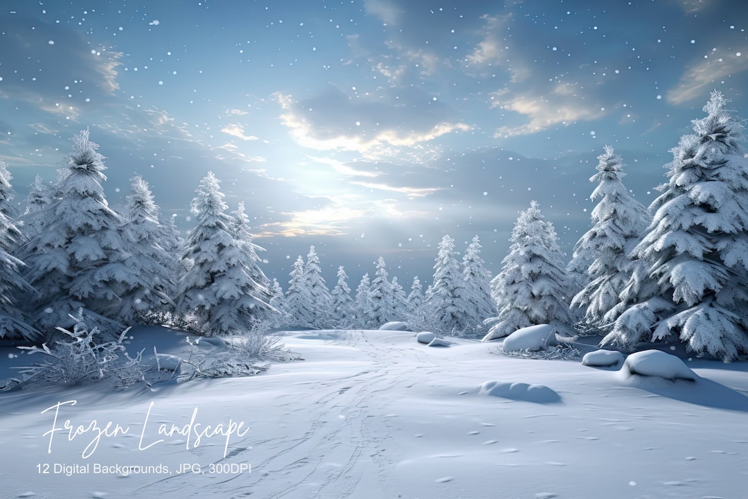 12 Photography Backgrounds Frozen Landscape, Winter Season, Xmas ...