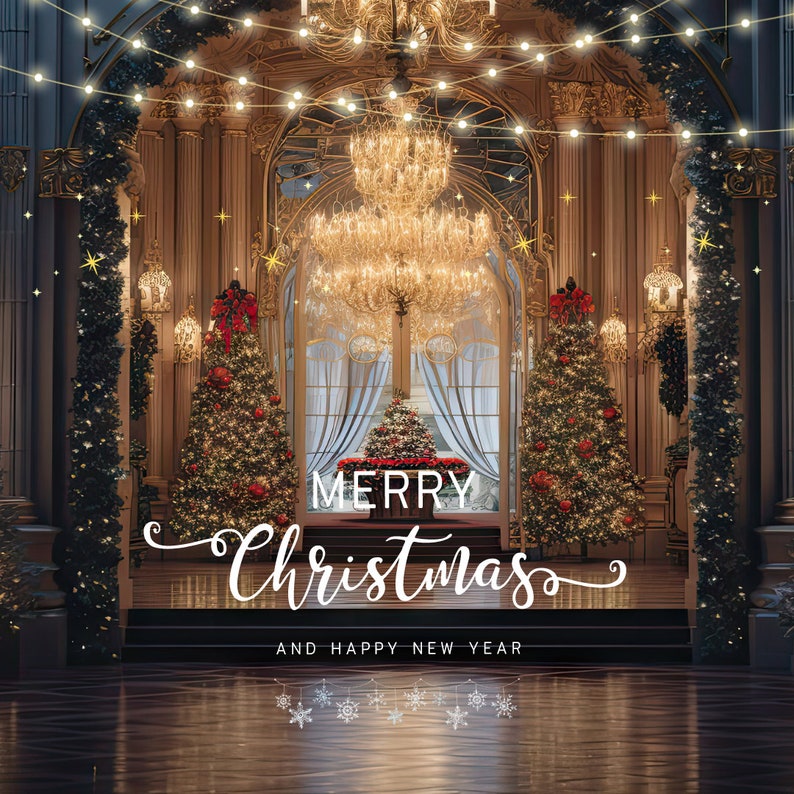 12 Photography Backgrounds Decorative Hallways, Winter Season, Xmas ...