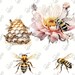 15 Digital Watercolor Clipart: Honeybees, Honey Jars, Honeycomb, Bees ...