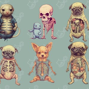12 Disturbingly Quirky Animal Freaks Clipart, Deformed, Halloween ...