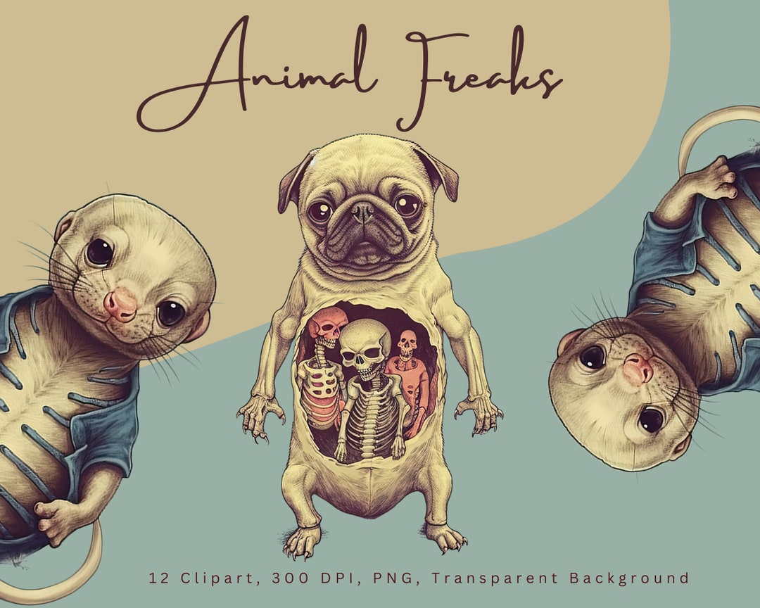 12 Disturbingly Quirky Animal Freaks Clipart, Deformed, Halloween ...