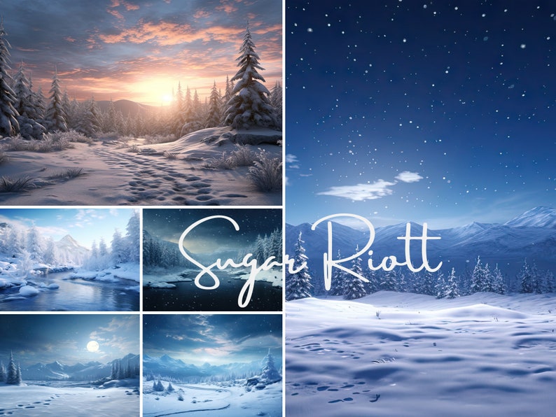 12 Photography Backgrounds Frozen Landscape Winter Season - Etsy
