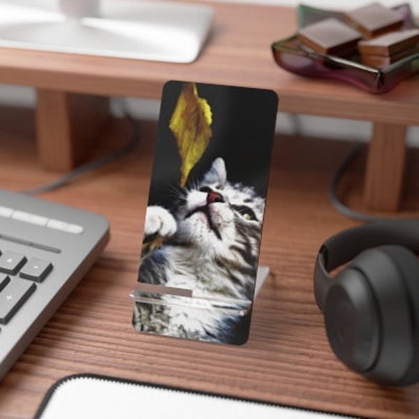 Kitten Photography - Etsy