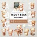 Teddy Bear Alphabet Clipart Watercolor Bear Letters PNG - Etsy