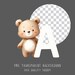 Teddy Bear Alphabet Clipart, Watercolor Bear Letters PNG, Brown Teddy ...