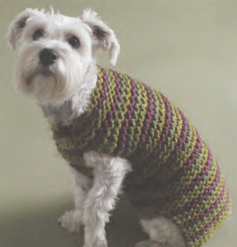 Dog Coat PDF Small Medium Whippet Jumpers Sweater Vest Chunky Wool Fair ...