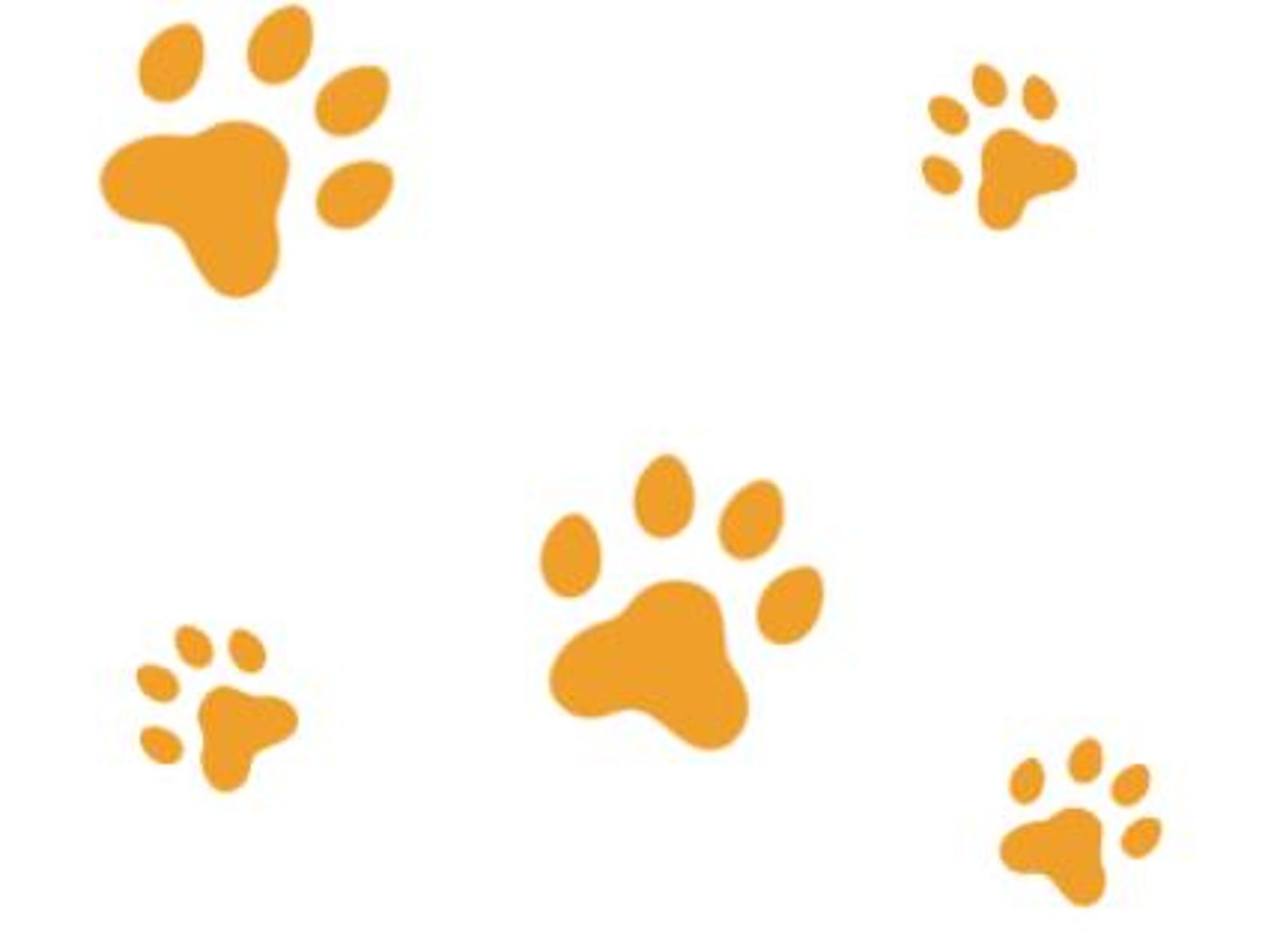 Paw Print Group Silhouette Embroidery Design Files Tiny Paws Pet ...