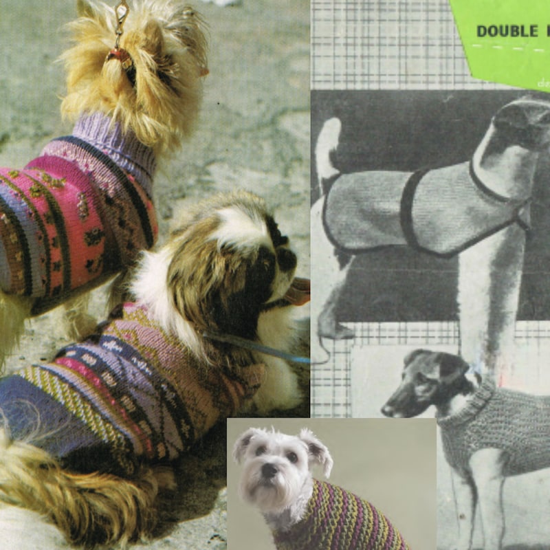 Whippet Dog Coat Pattern - Etsy