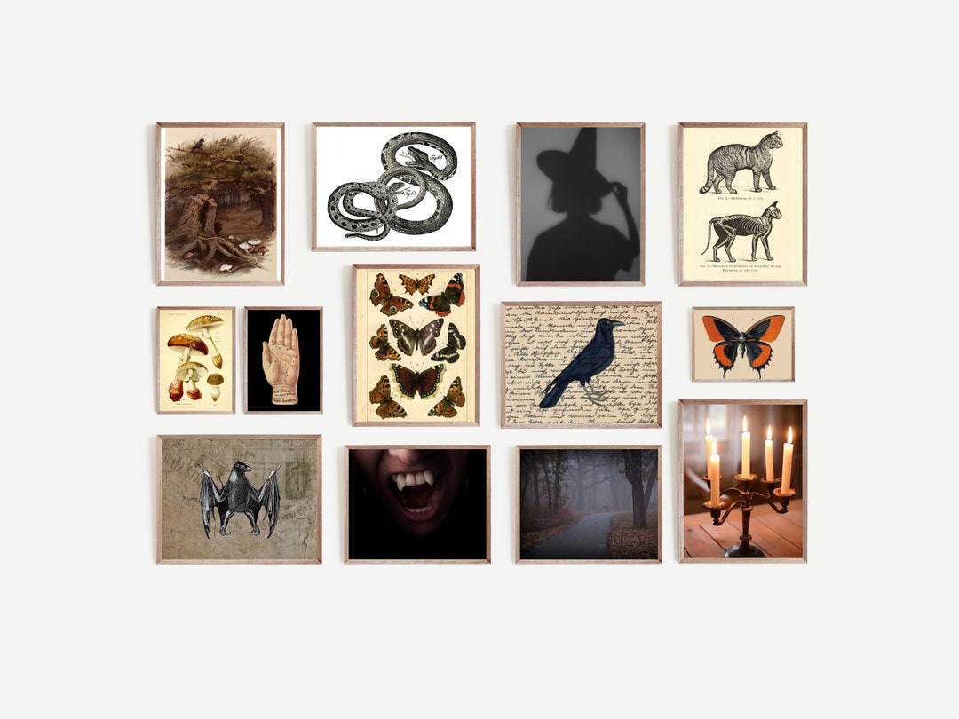 Dark Academia Halloween - Etsy