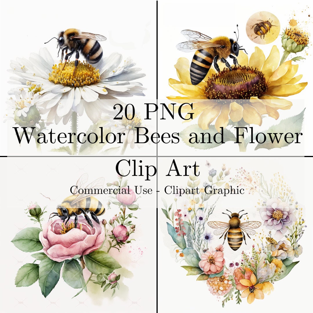 Watercolor Honey Bee and Flowers Clipart, PNG, Commercial Use - Etsy