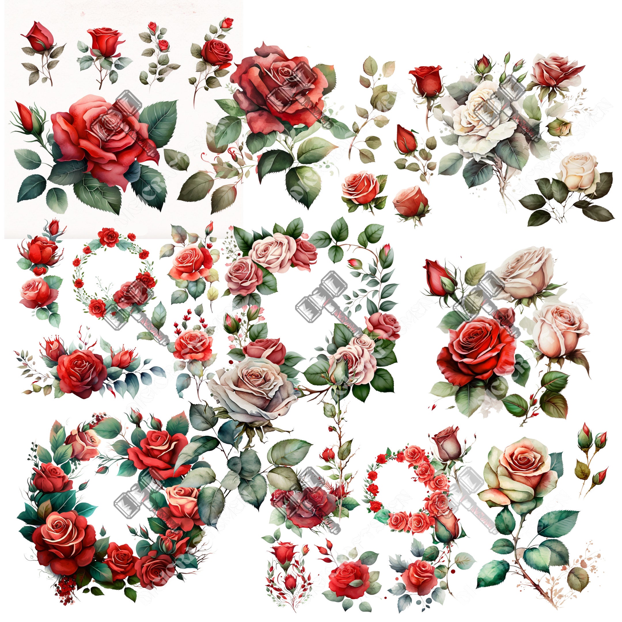 Watercolor Roses Digital Clipart - Red, White, and Pink Roses in ...