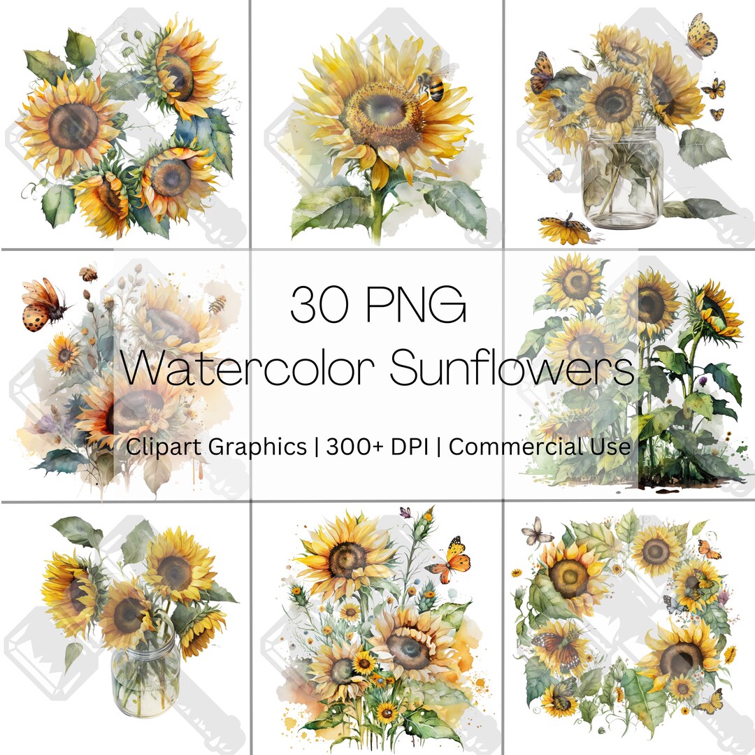 Watercolor Floral Sunflowers Digital Clipart - PNG Instant Download for ...