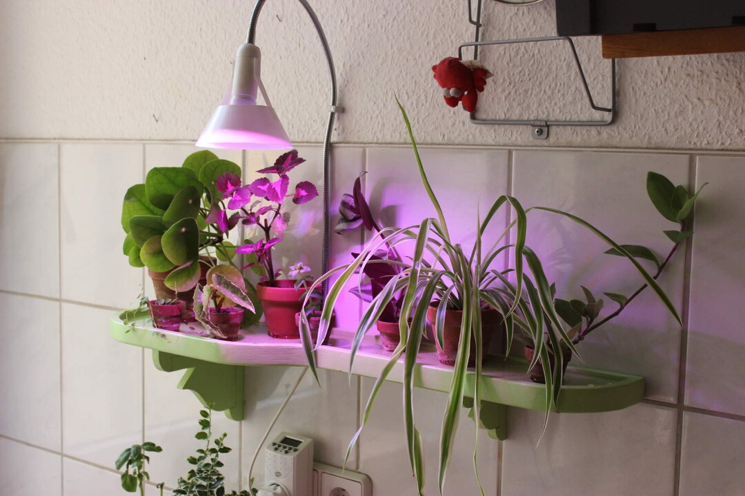 Water Shelves for Indoor Plants Custom Design Upon Request. - Etsy