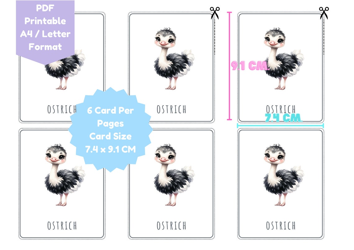 Flashcard Wild Animals,30 Flashcard for Kid, Animal Flash Card ...
