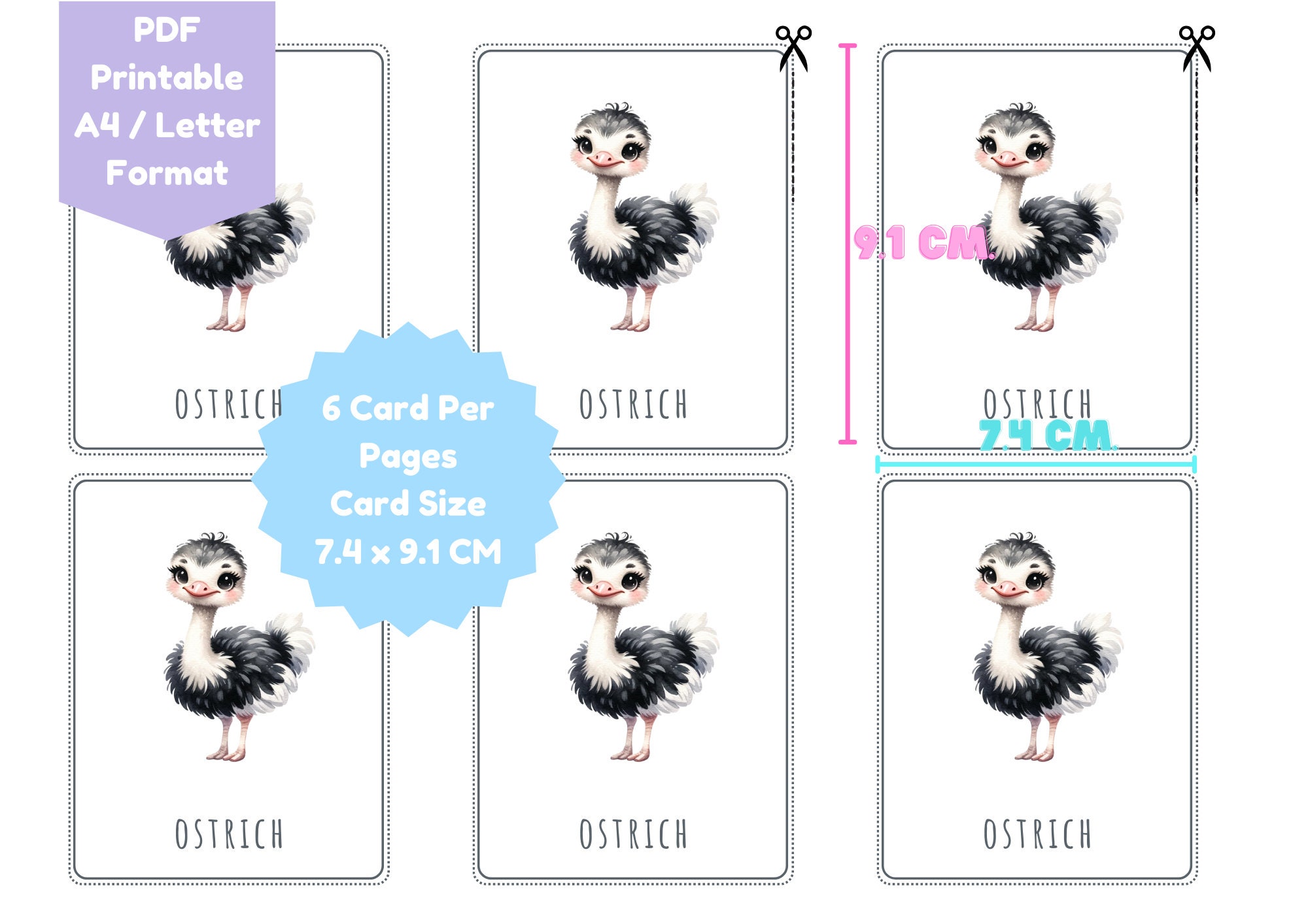 Flashcard Wild Animals,30 Flashcard for Kid, Animal Flash Card ...