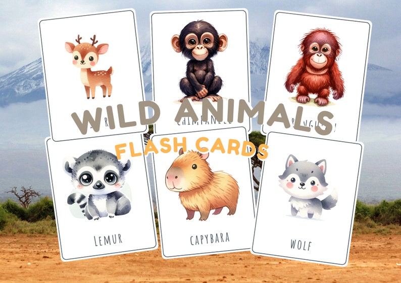 Flashcard Wild Animals,30 Flashcard for Kid, Animal Flash Card ...