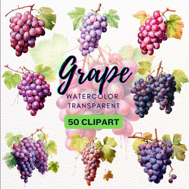 Watercolor Grapes 50 PNG Digital PNG Transparent Grapes Graphics for ...